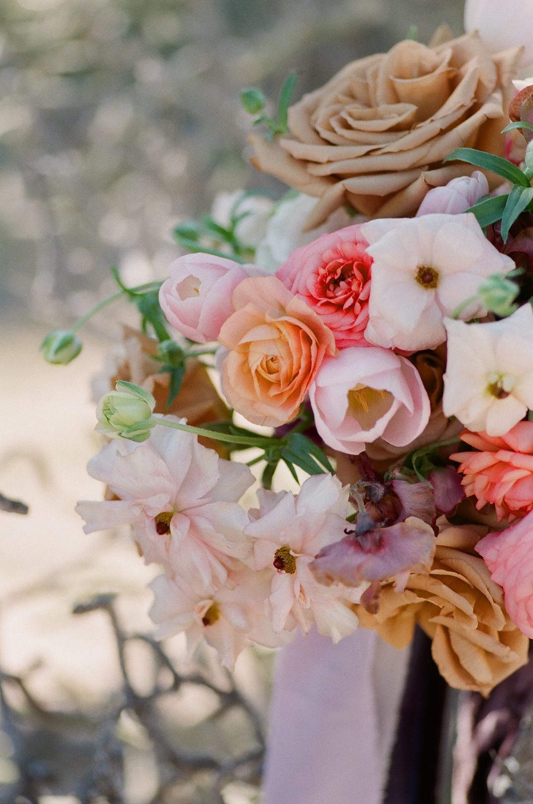 Photo Native 2019, Savan shoot - kimskinnerphotography.com