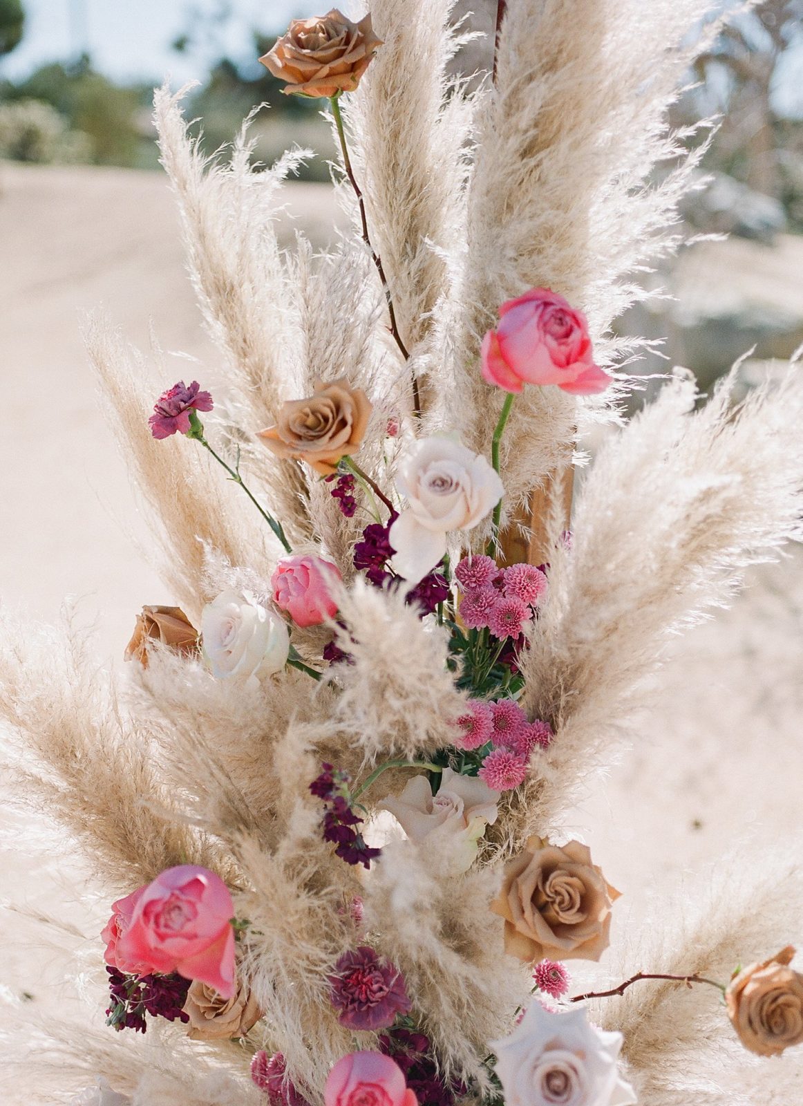 Photo Native 2019, Savan shoot - kimskinnerphotography.com